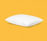 The Best Feather Pillows of 2022 | SleepFoundation