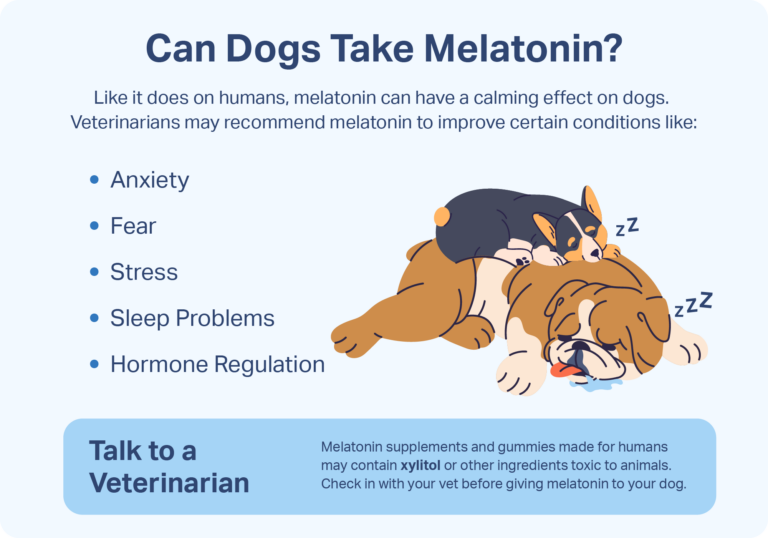 Melatonin for Dogs: Dosage, Benefits, and Safety