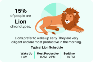 Chronotypes: Definition, Types, & Effect on Sleep